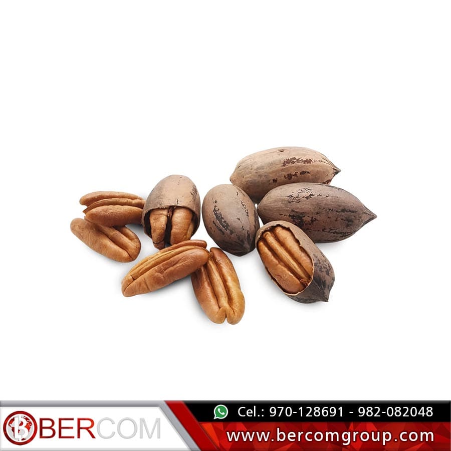 Pecanas por Kilo - Bercom Group